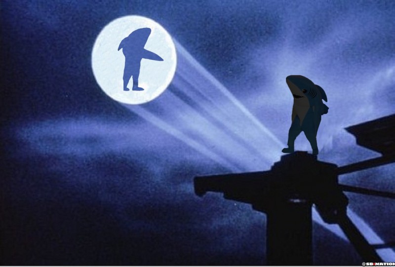 Katy Perry Hilarious LEFT SHARK Super Bowl Memes - TheCount.com