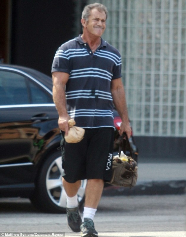 Mel Gibson: BRAND NEW Muscles, Hair and Hormones! - TheCount.com